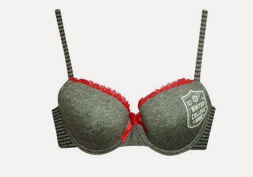 Inilah Model Serta Bentuk Bra Yang Cantik Dan Lucu