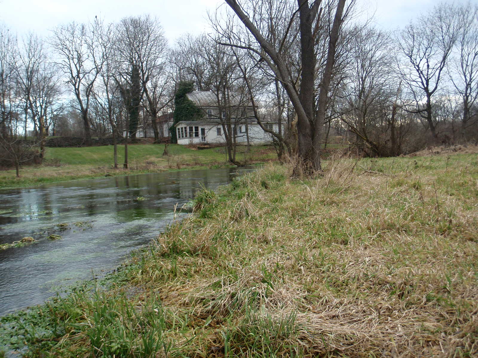Chronicles of a Bug Flinger and Feather Lasher: The Magical Waters of ...