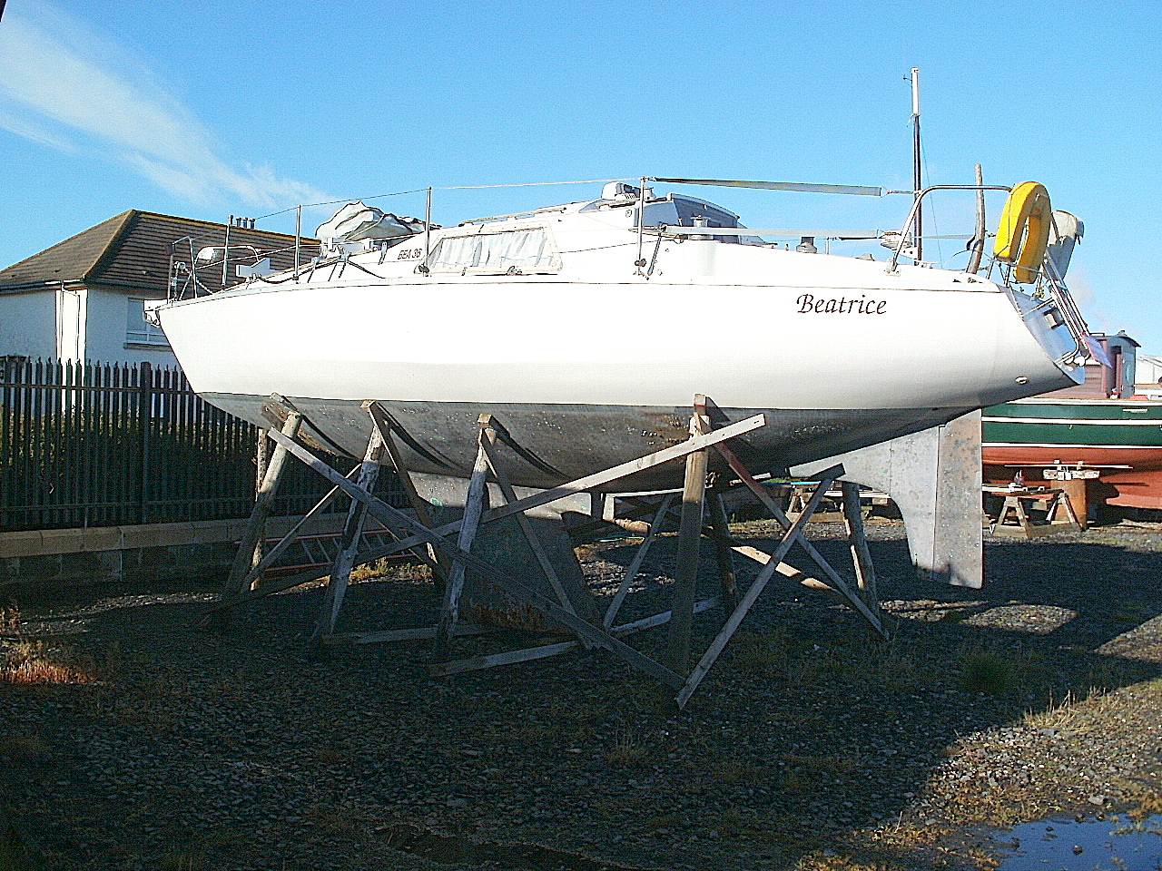Shockwave40: Beatrice - Scampi 30 IOR Half Ton design