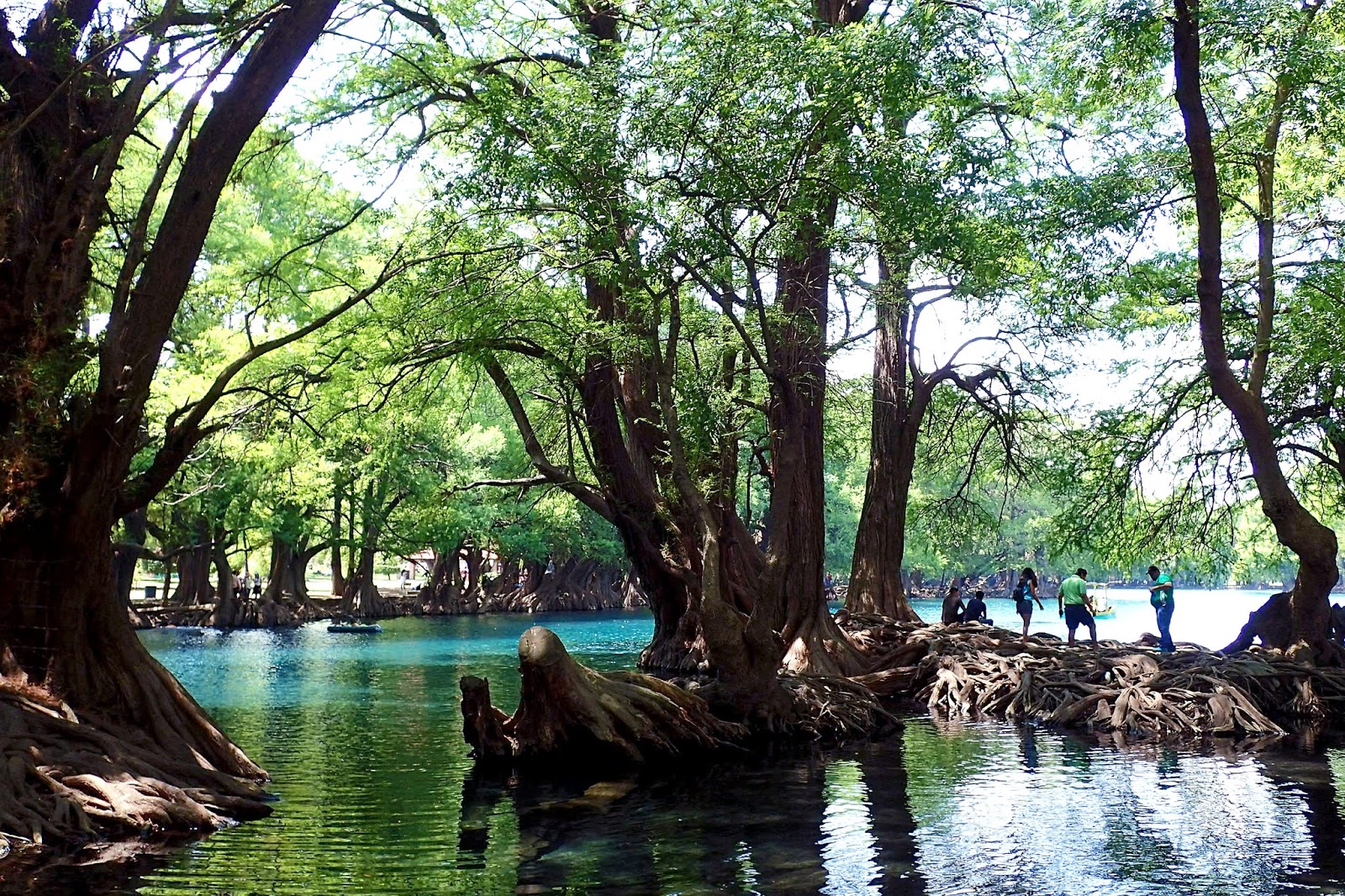 .camecuaro. - iamperlita