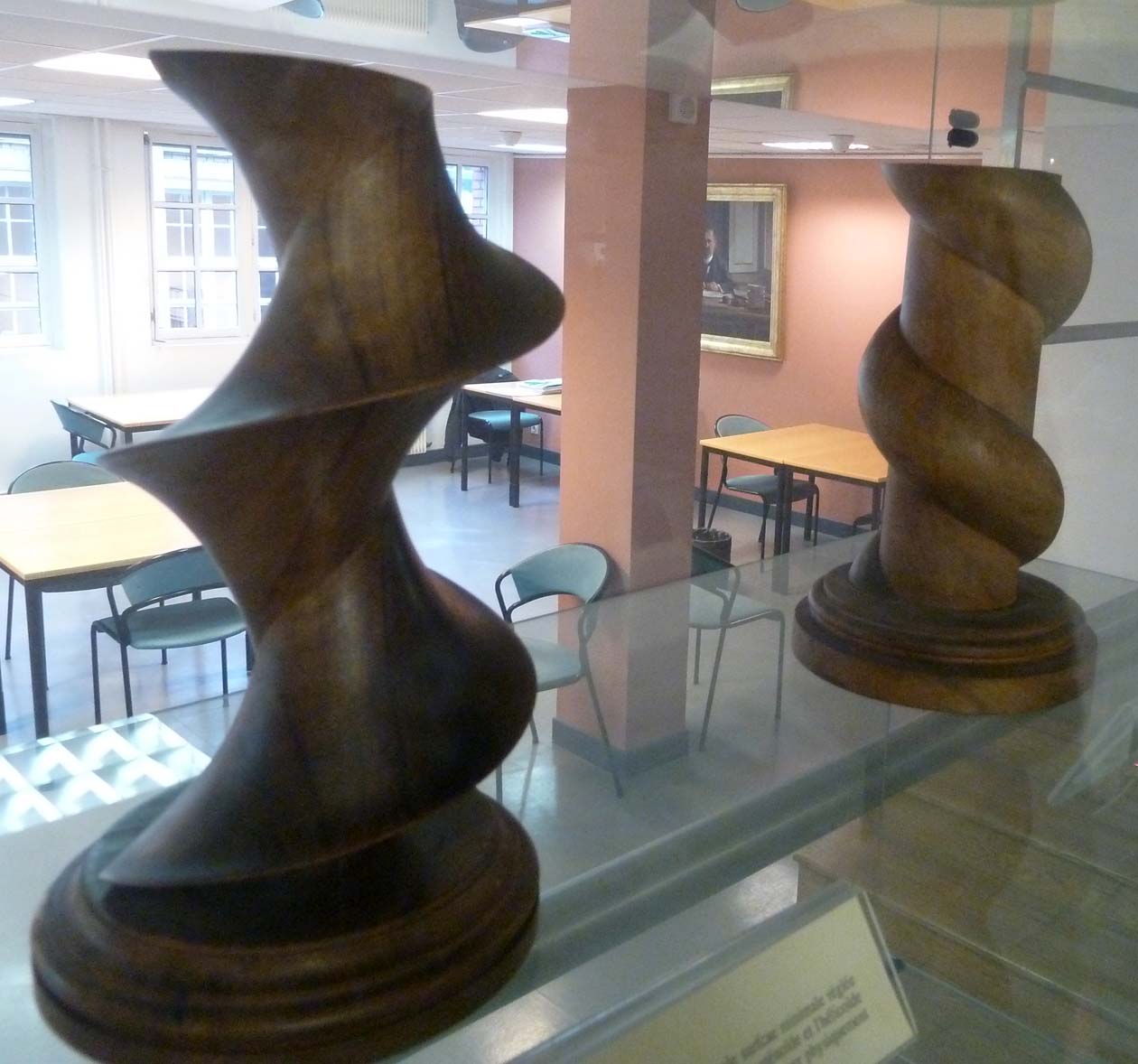 hyperbolic crochet: Mathematicians in Paris - IV (mathematical models)