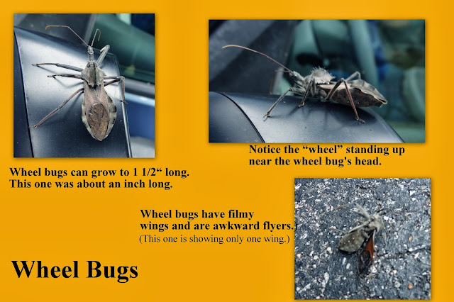 Live and Learn-Toss and Turn: 10/01/2013 - 11/01/2013