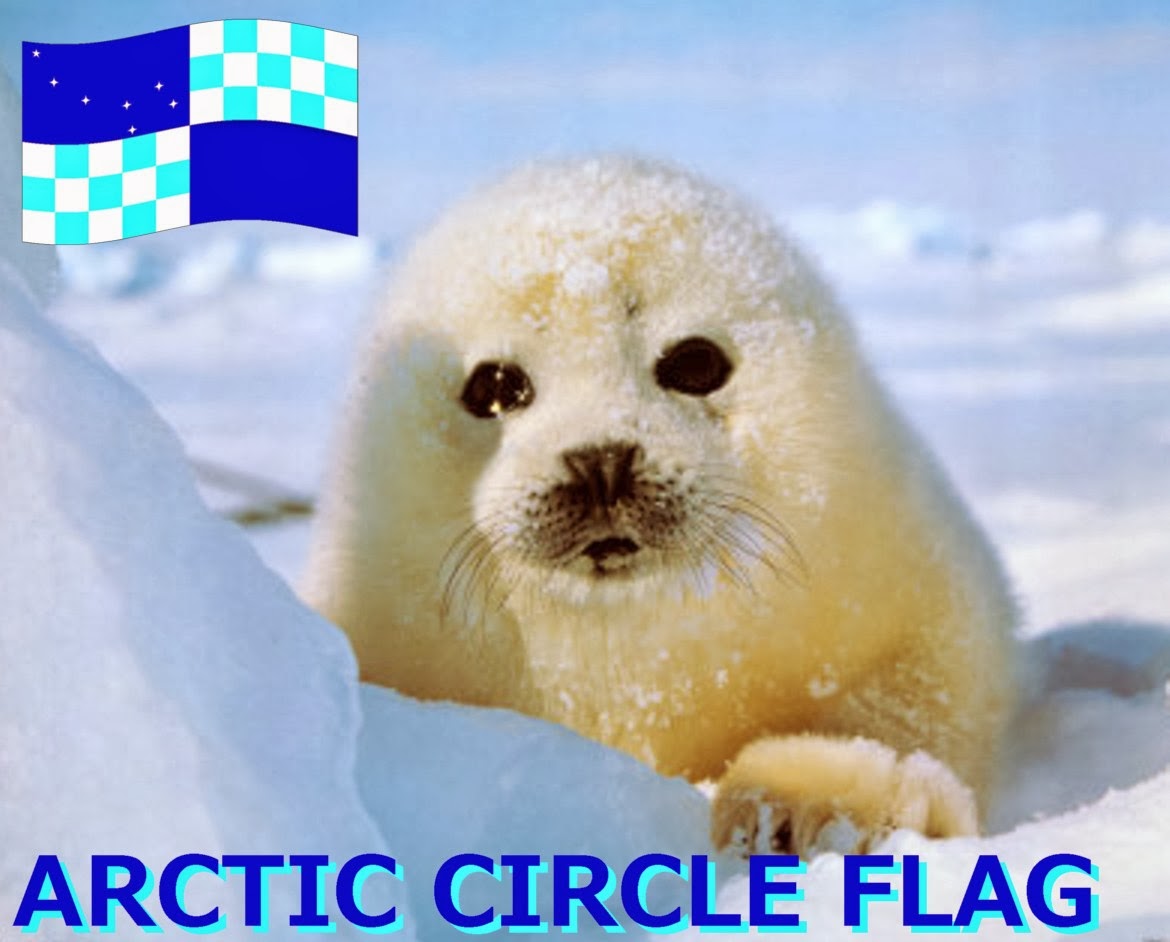The Voice of Vexillology, Flags & Heraldry: Flag for the Arctic Circle