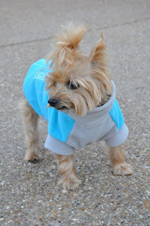Fido Fleece Dog Coats. Best Selection Fido Fleece, Quick Ship!