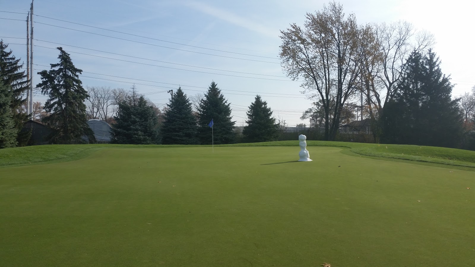 Wilmette Golf Club Grounds and Greens : January 2018