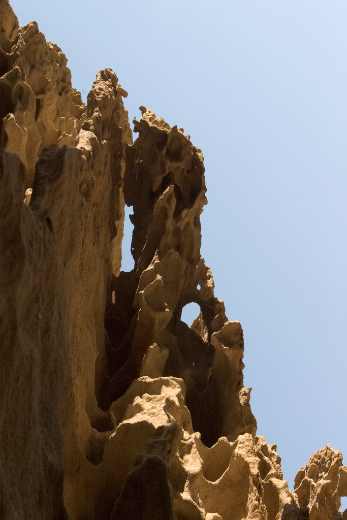 Critter Sitter's Blog: Seen in Azerbaijan