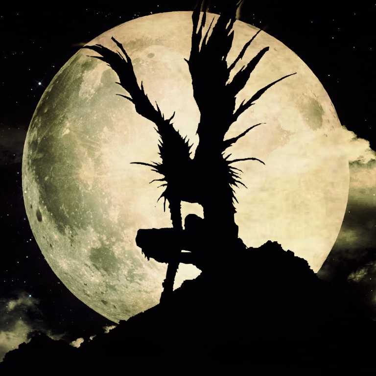 My favourite image of the Week 003