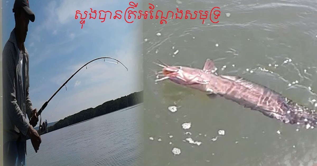 How to find fish KH របៀបរកត្រីតាមដៃសមុទ្រខ្មែរ Catch,Crab, Eel, WaterSna...