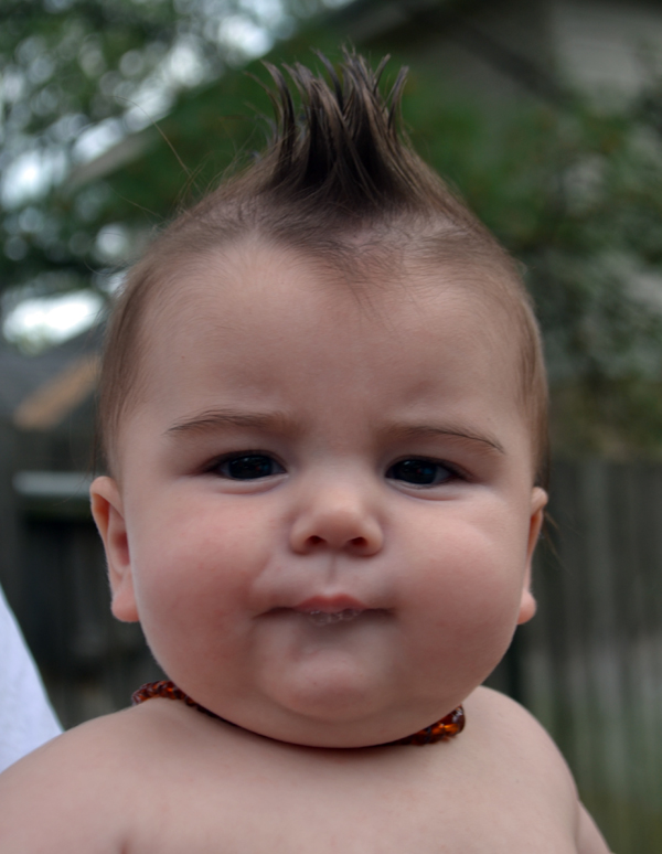 the smores. party of four.: savio's mohawk.