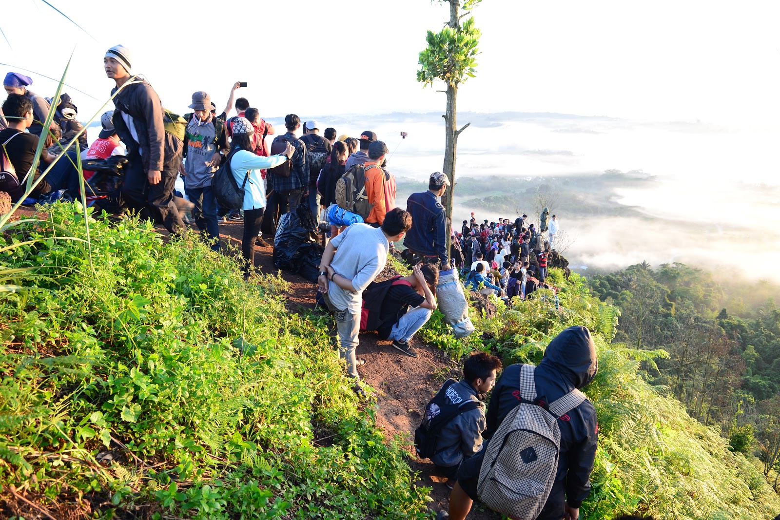 Memungut harapan Di puncak Bukit Biru