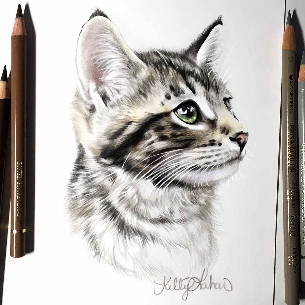 Design Stack: A Blog about Art, Design and Architecture: Our Furry ...