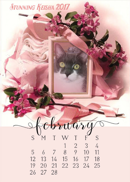 Can You Name the February Cat Holidays? | Stunning Keisha