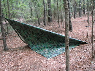 Sensible Survival: The Plow Point or Diamond Fly Tarp Set-Up