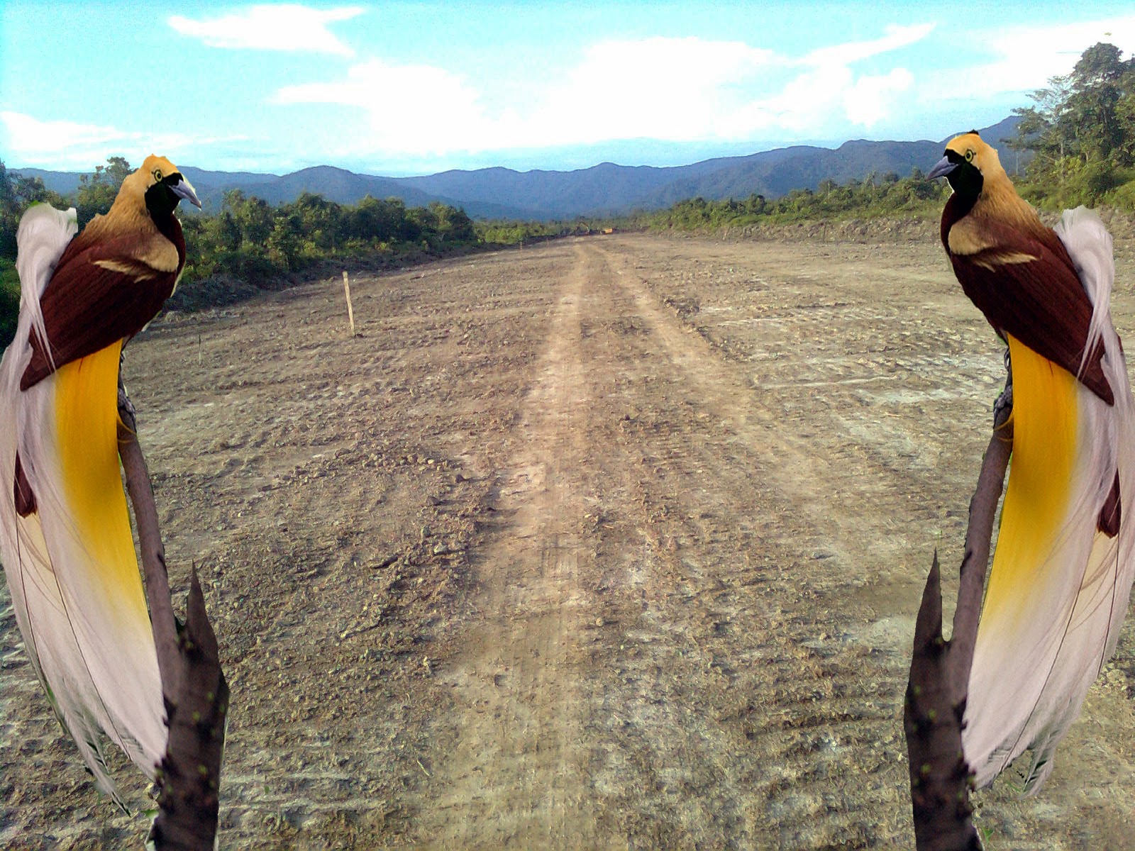 FOTO-FOTO KABUPATEN YALIMO PAPUA.