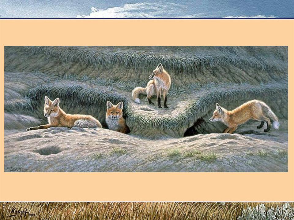 Soloillustratori: Paul Krapf