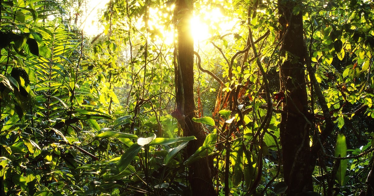 Natures Mighty Pictures, nature photos, nature wallpapers