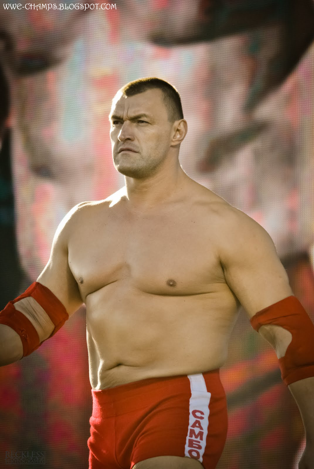 WWE CHAMPS: VLADIMIR KOZLOV