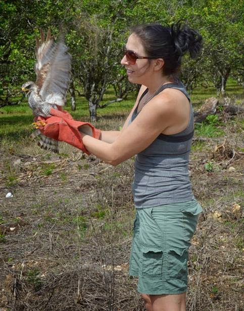 Belize Bird Rescue