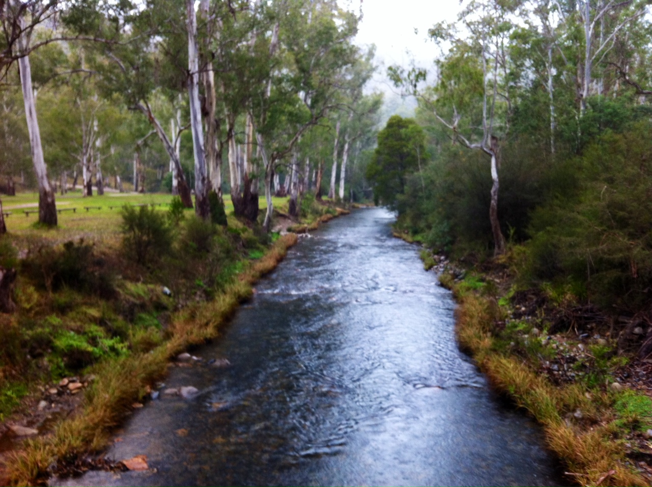 An Outback Motorhome Roadtrip: The Howqua River at Sheepyard Flat near ...