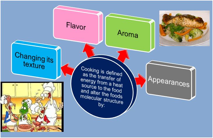 my culinary world: Fundamental of Food : Chapter 1