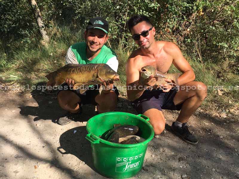 Claves para pescar un 24 horas o un maratón de pesca - Todos los peces ...
