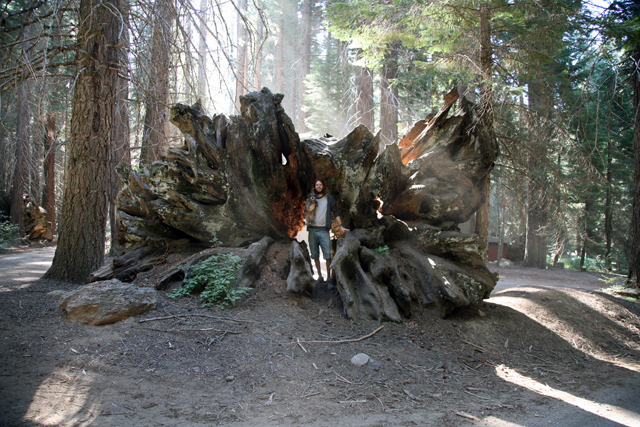 Papa's Poncho: Frazier Mills :: Mountain Home State Forest