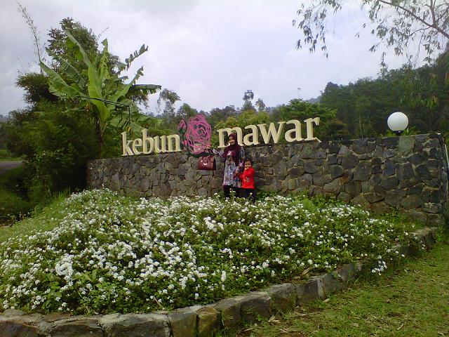 Situhapa Rose Garden, the most beautiful garden in Garut, Indonesia ...
