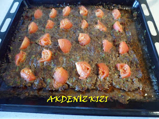 .: halep tava, kilis tava, tepsi kebabı