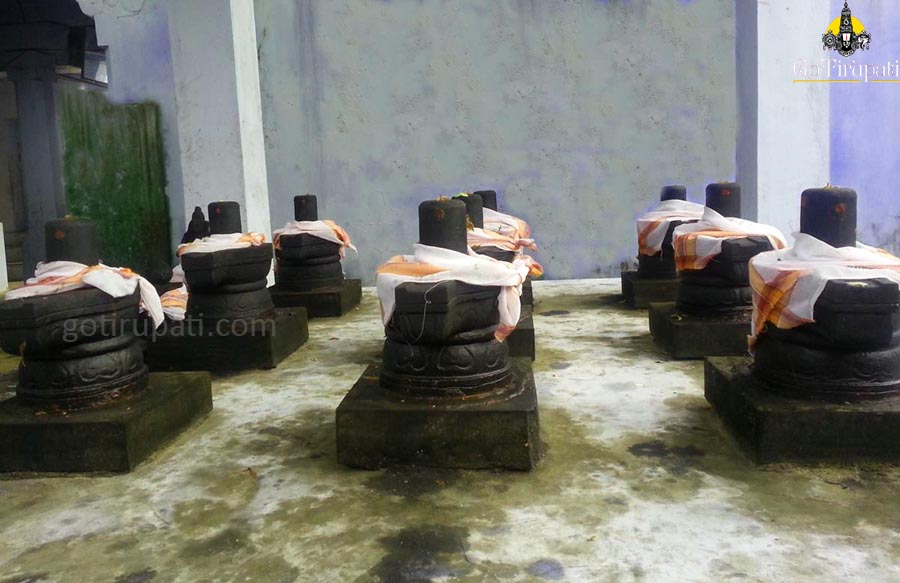 GoTirupati: Nava Kailasam Temples History