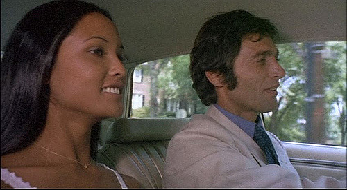 Good Efficient Butchery: Retro Review: EMANUELLE IN AMERICA (1977)