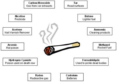 Media Pembelajaran Online Kimia: Kandungan rokok