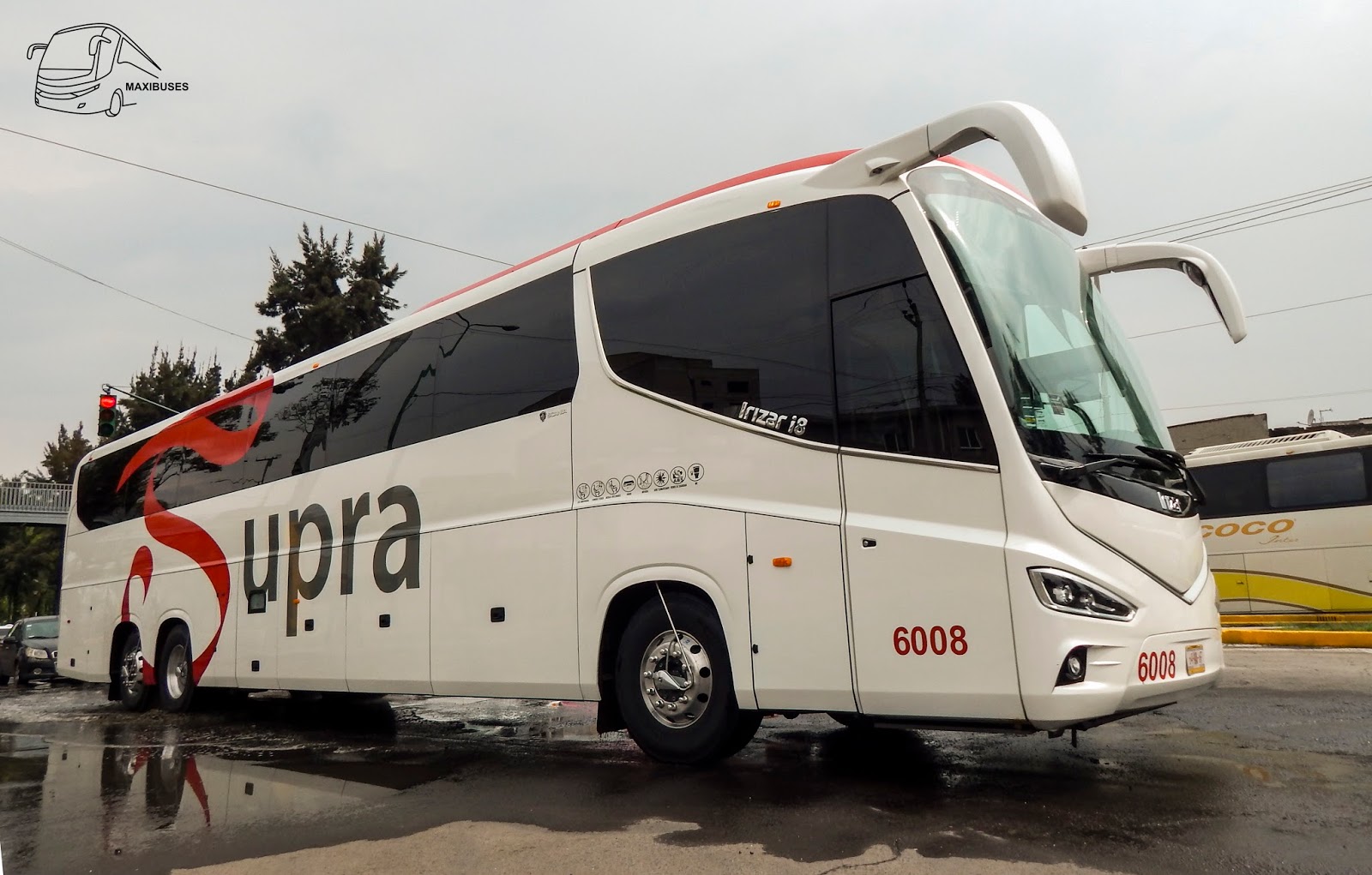 MAXIBUSES: SUPRA
