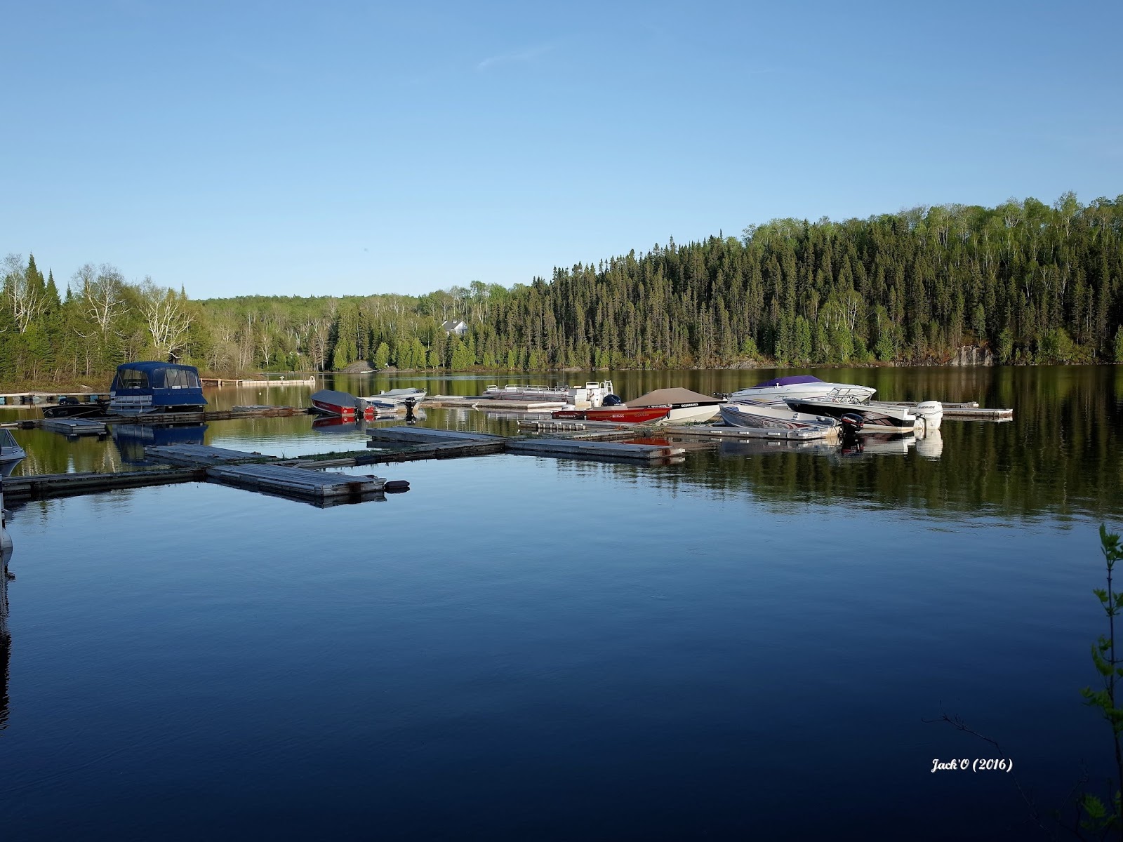 L'OEIL AU VERT: Lac Opasatica, Abitibi. -31 mai 2016