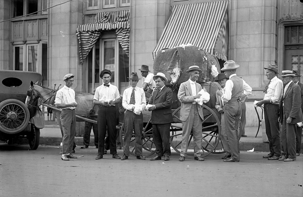 Rural North Carolina History: Cotton Merchants of Wilmington Street ...