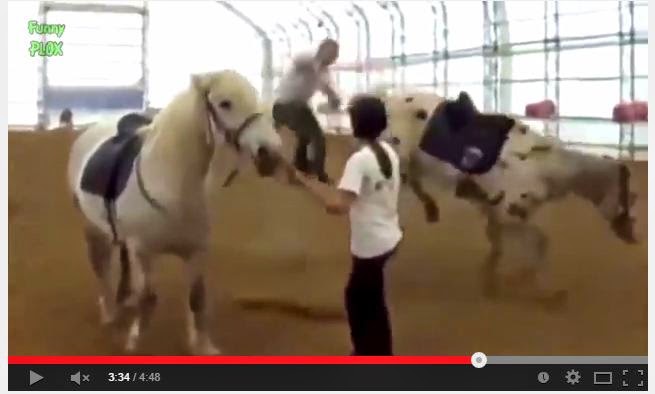 Video: La mejor compilación de vídeos de Caballos - Lo Mas Tonto