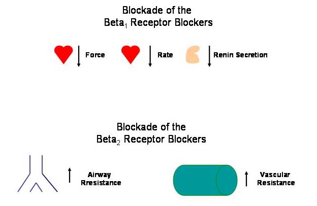 Use of Beta and Alpha blockers in treatment of Hypertension