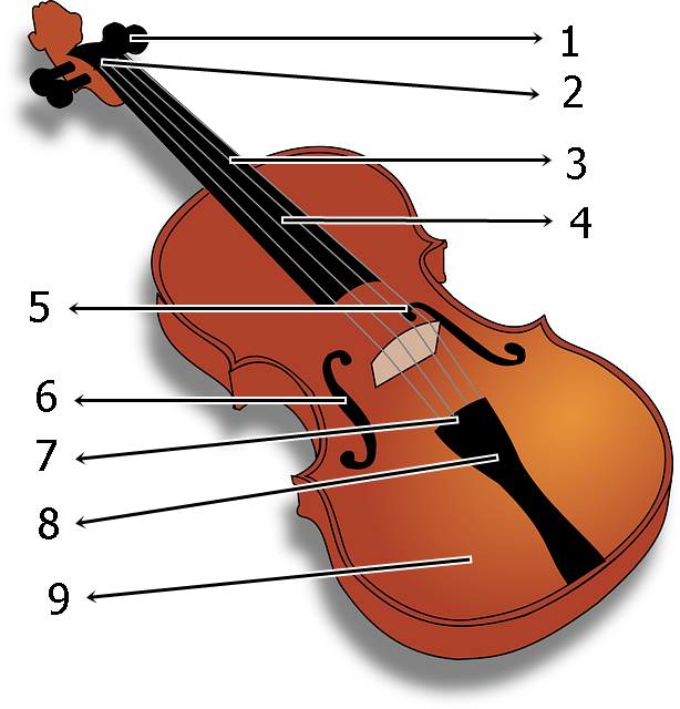 Bagian Bagian Pada Alat Musik Biola dan bow berserta fungsinya - Cikipod