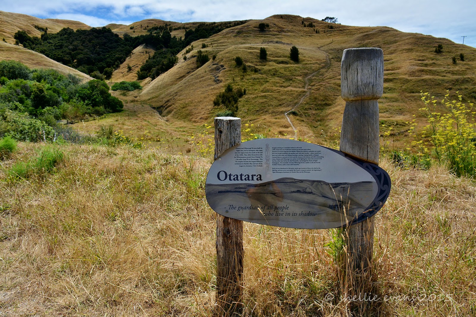 Two Go Tiki Touring: Otatara Pa, Taradale