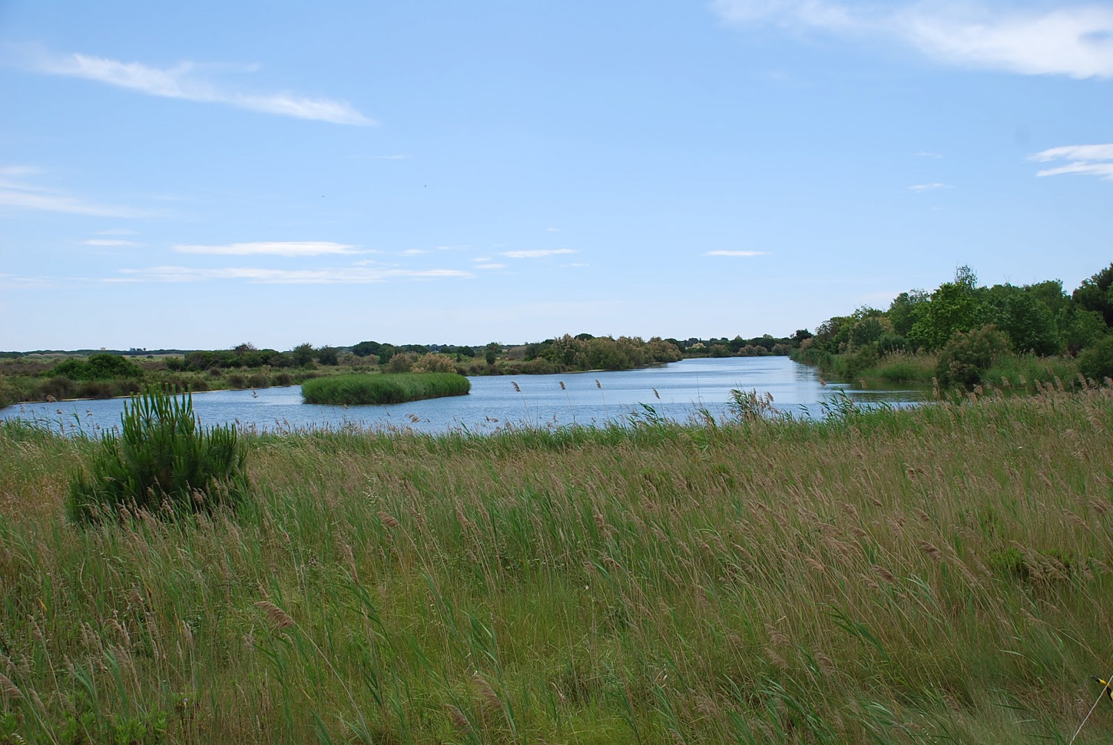 Pequeña montaña (senderismo en familia): Delta del Llobregat - Remolar ...