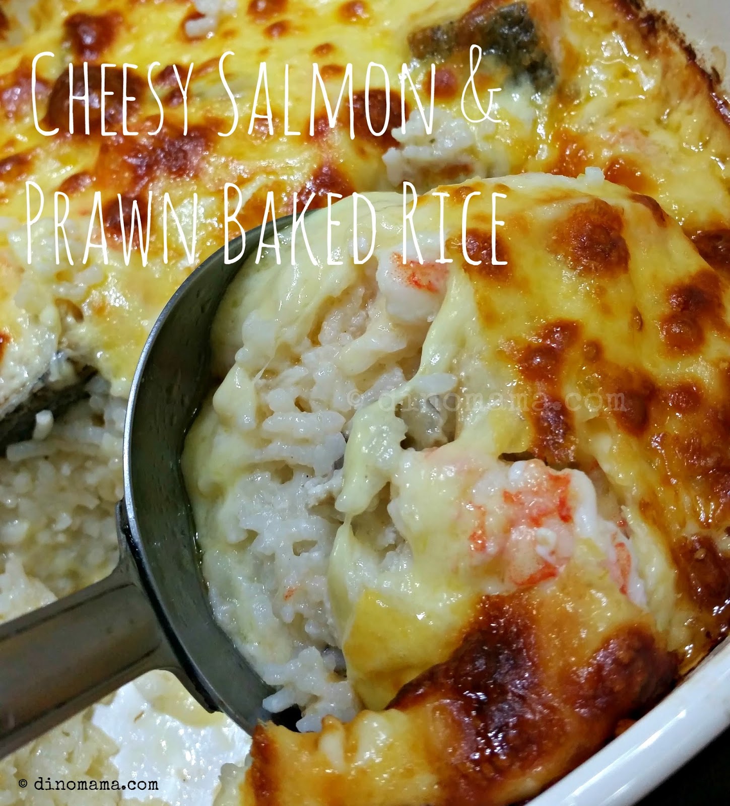 SOD Cafe SALMON CHEESE BAKED RICE BUILT YOUR Facebook | atelier-yuwa ...