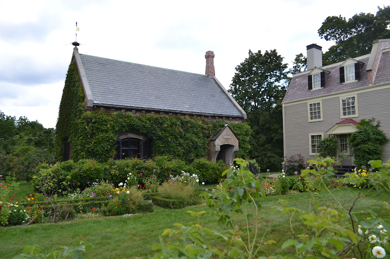 DragonFly Garden: Peace Field