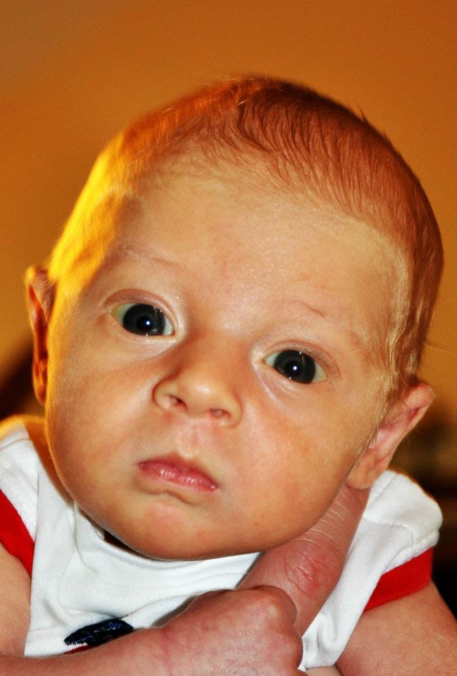 Promised Land on Earth: Jude Asher Lintelman has hit the scene