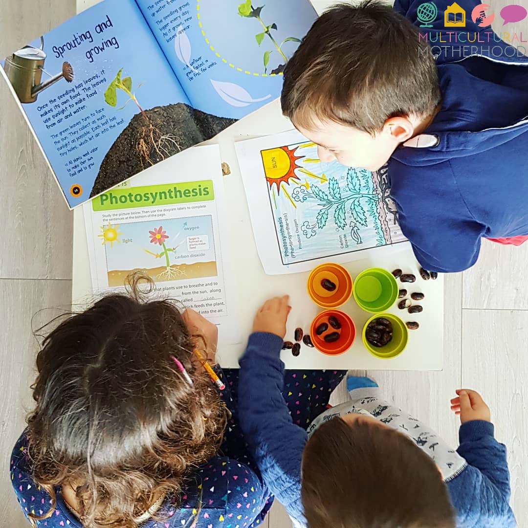 8 Reasons to Use Exploring Nature With Children In Your Homeschool ...