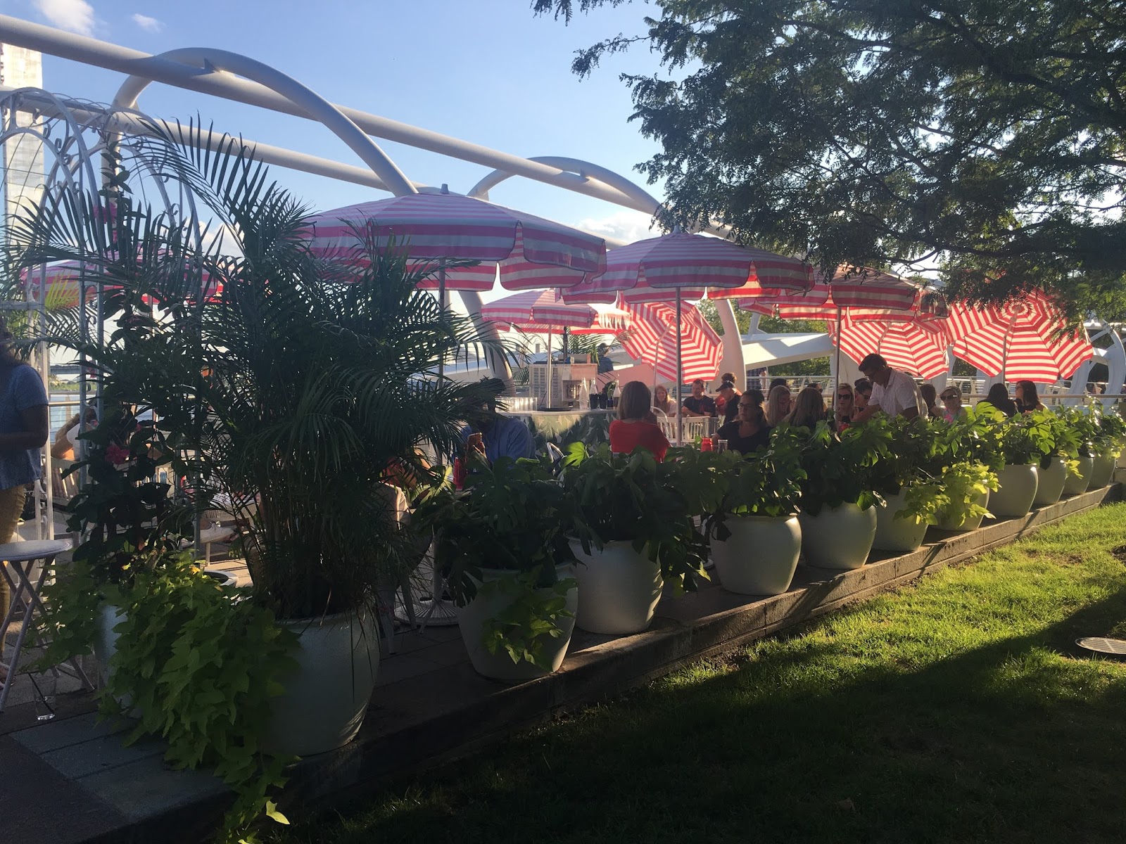 Sunshine State Sweetie: August in DC