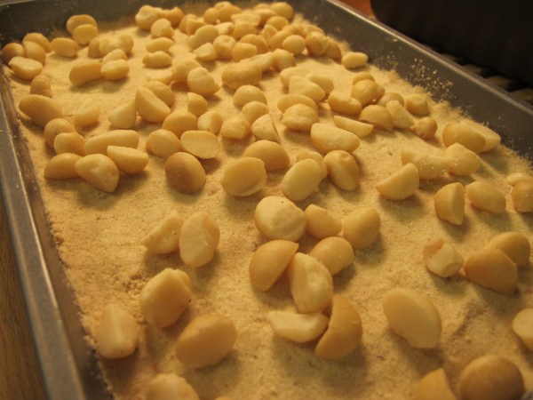 Olive Dragonfly: Macadamia Nut Slice - A Recipe