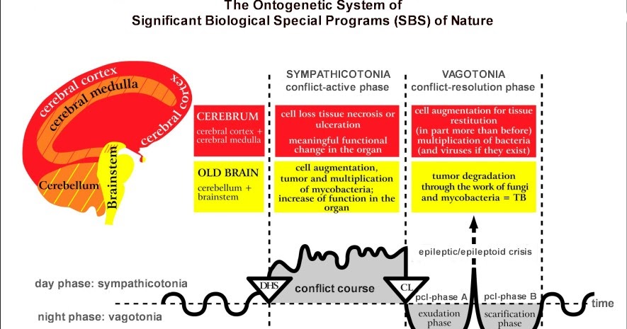 Autocunoasterea prin Constientizarea Sinelui: Seminar Intensiv de Noua ...