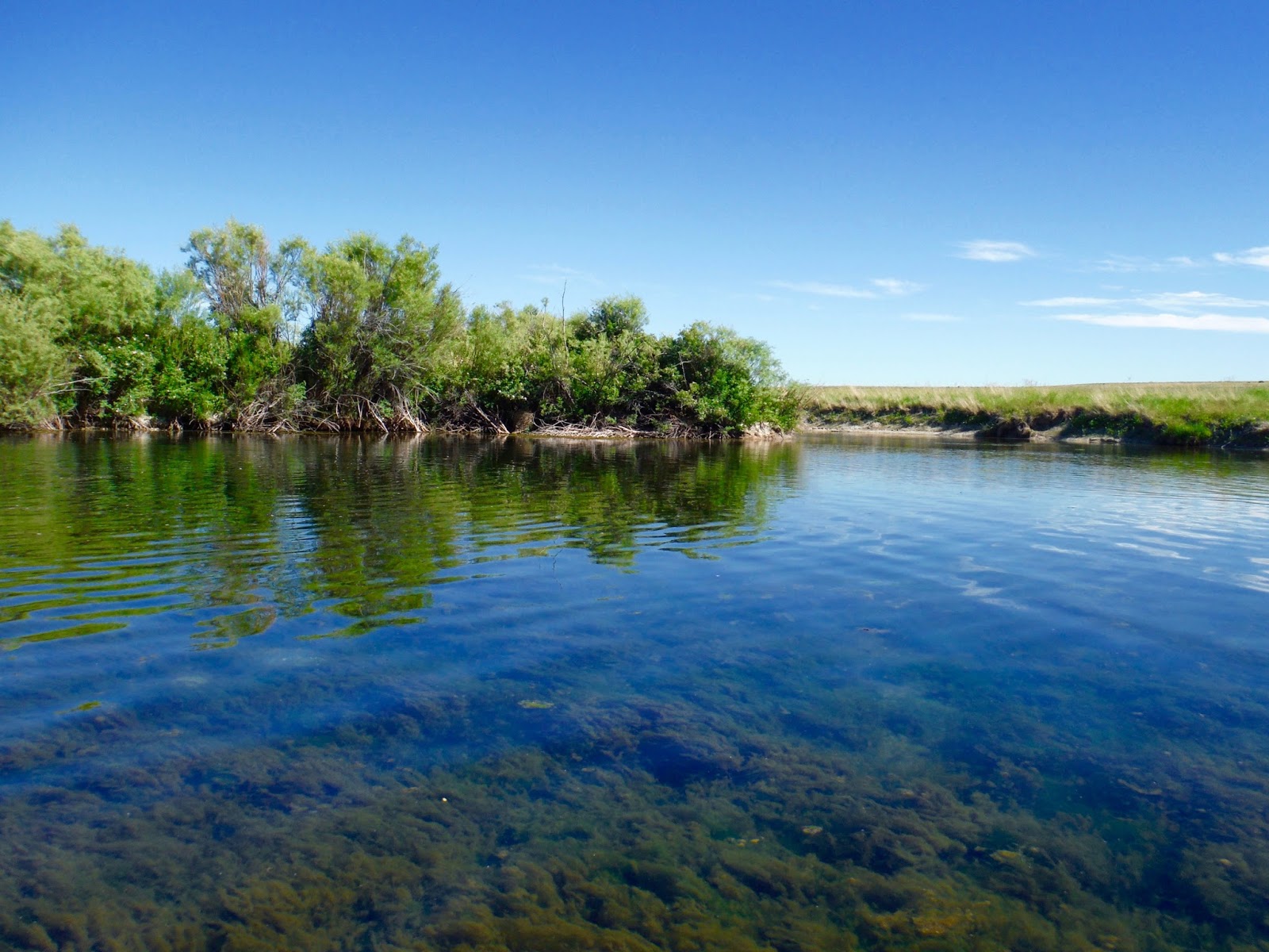 Erik’s Fly Fishing Blog: Ruby Marsh