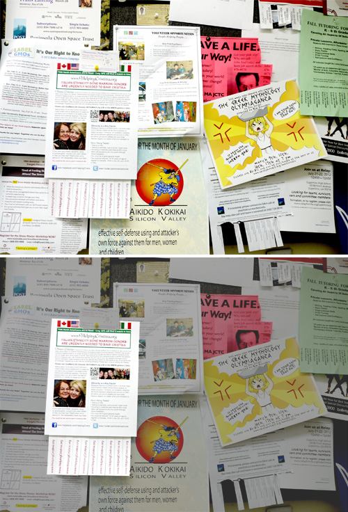 A Worldwide Bone Marrow Donor Drive