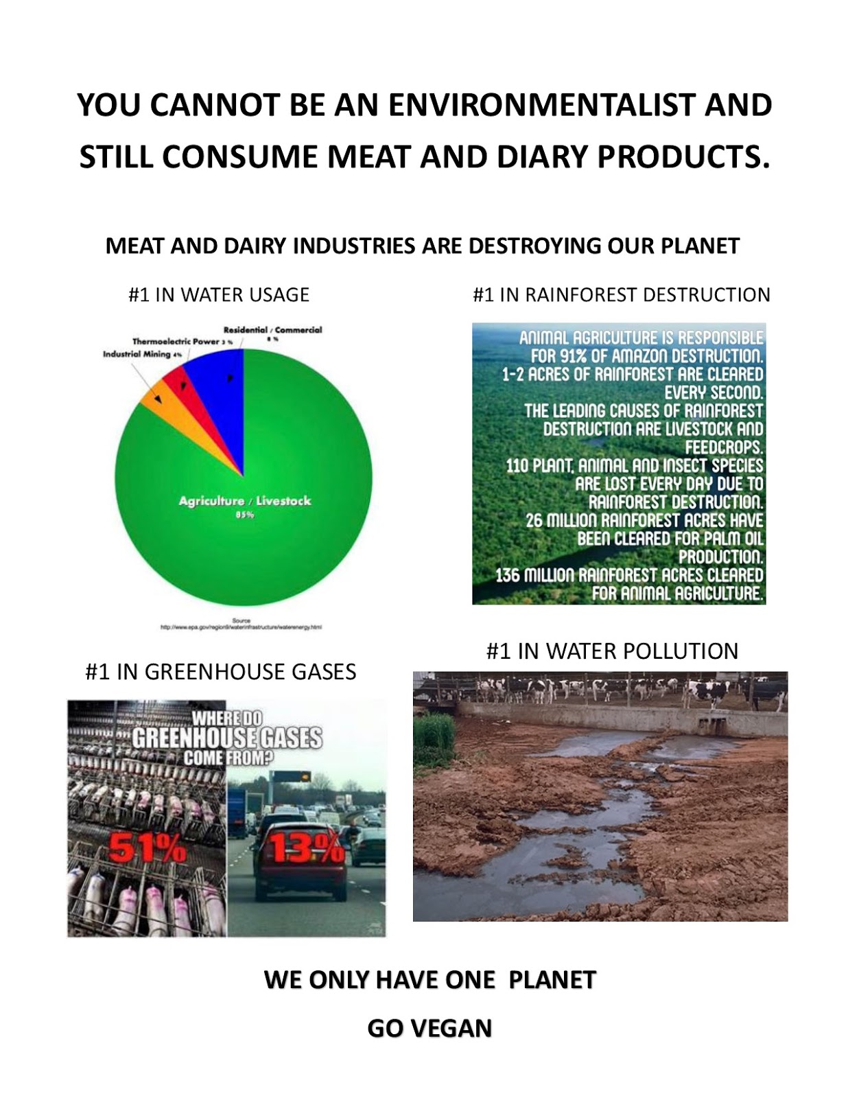 Joy of Vegan: ENVIRONMENTAL MEMES TO SHARE