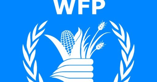 WFP Vacancies Chief, Climate and Disaster Risk Reduction Italy - NGO ...